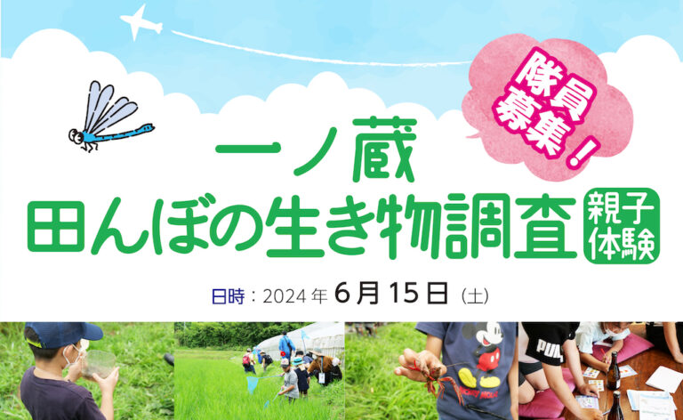 せんだい地域情報サイト KU-TAN | 【親⼦体験】⼀ノ蔵 ⽥んぼの⽣き物調査 隊員募集！
